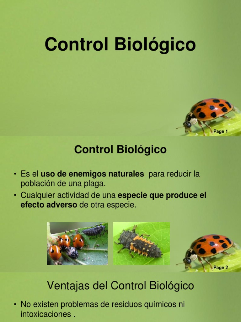 Control Biológico | Insectos beneficiosos | Pesticida | Prueba gratuita ...