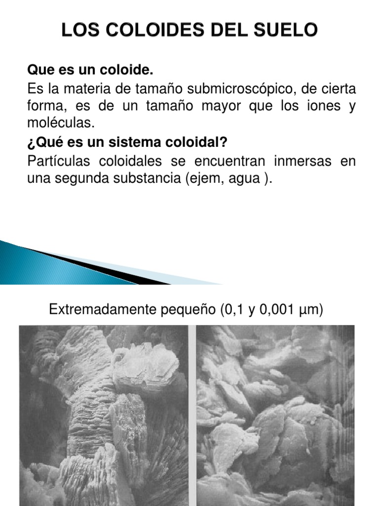 Coloides y su rol en el suelo | PDF | Coloide | Arcilla