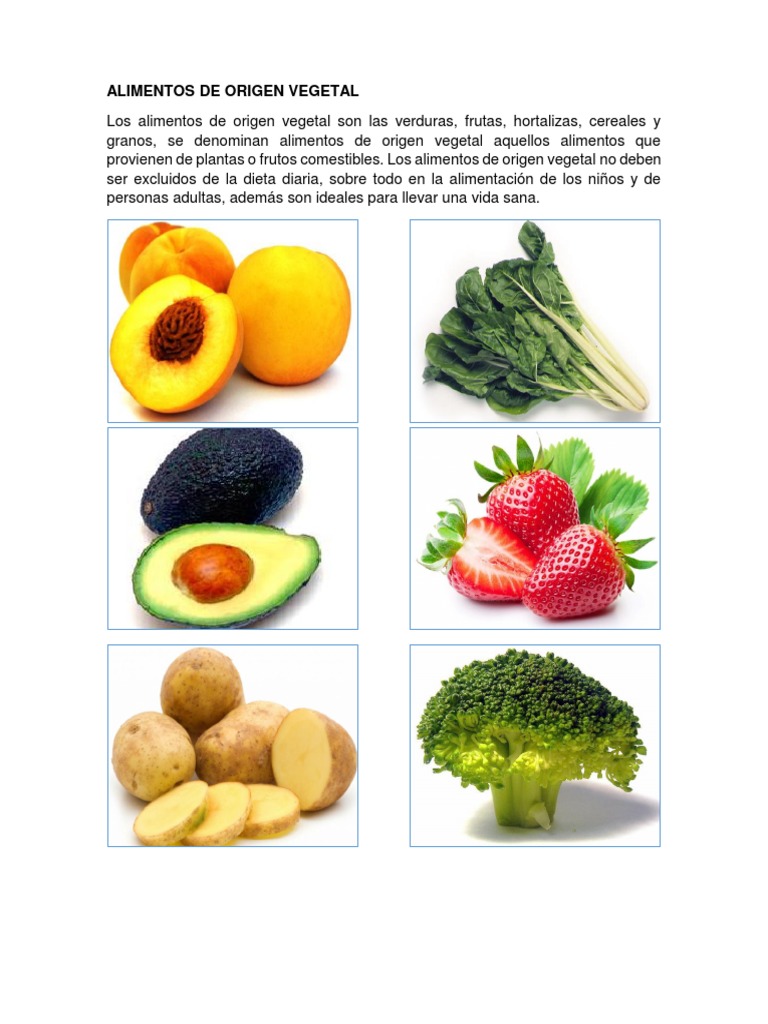Alimentos de Origen Vegetal | Cereales | Alimentos