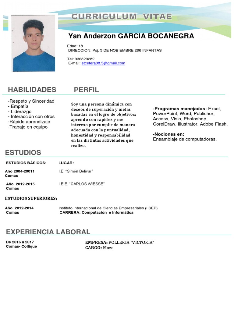 Yan Anderzon Garcia Bocanegra: Perfil Habilidades | PDF