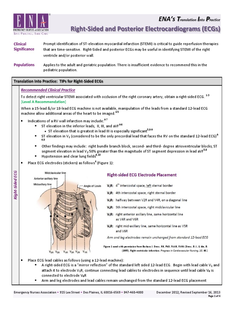 Right Side Ecg | Electrocardiography | Coronary Circulation