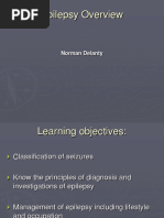 Epilepsy Management Plan Template | PDF | Epilepsy | Medical Specialties