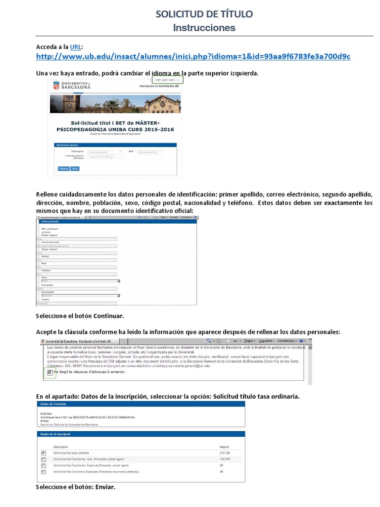 Planificación Instrucciones Solicitud Titulo | PDF