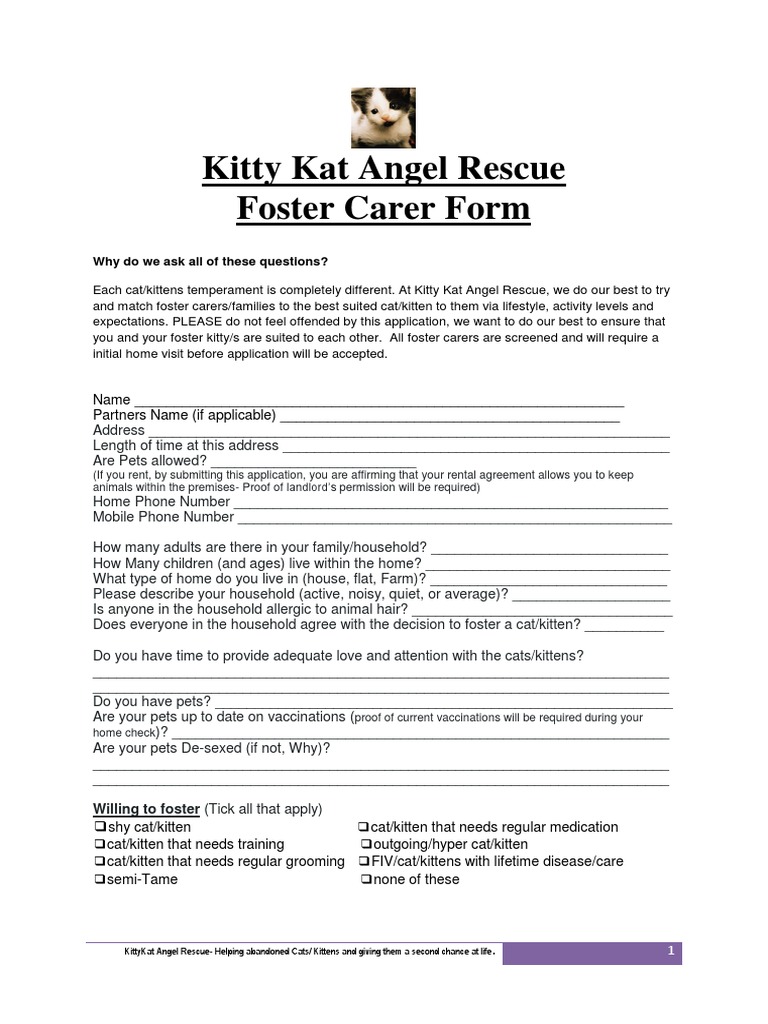 kitty kat angel rescue foster carer form | Kitten | Cats