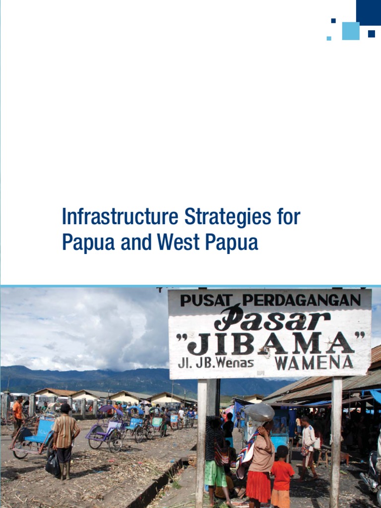 PAPUA Infrastructure - en | PDF | Papua New Guinea | Sustainability