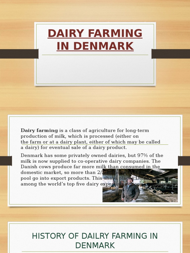 Dairy Farming in Denmark | PDF | Dairy | Denmark