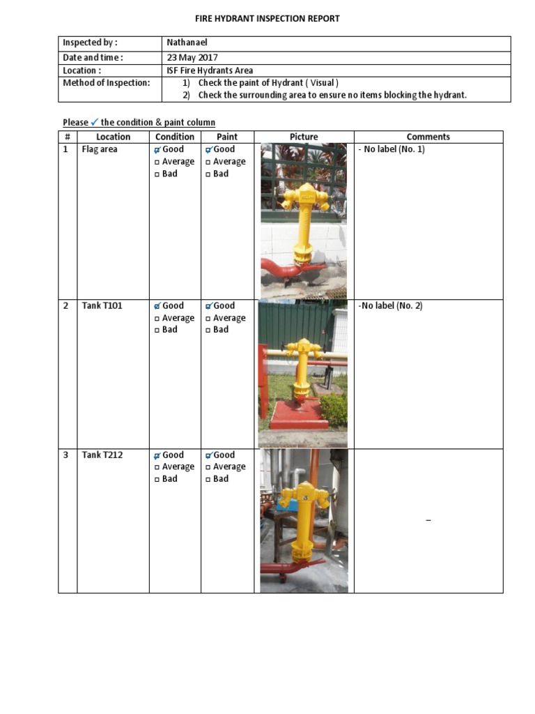 Fire Hydrant Inspection Summary | PDF | Business