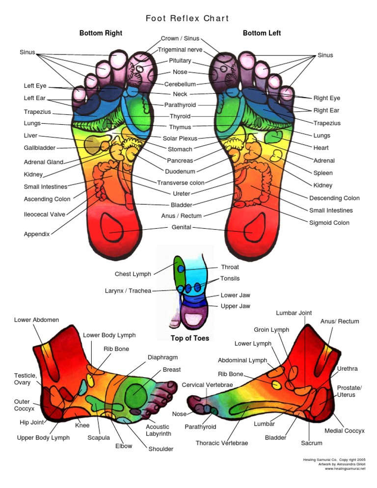 Reflexology Chart | PDF | Abdomen | Lymphatic System