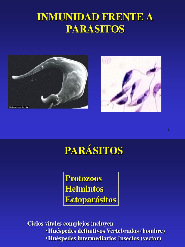 Inmunidad Frente A Parasitos y Hongos | PDF | Sistema inmune innato | Sistema inmune
