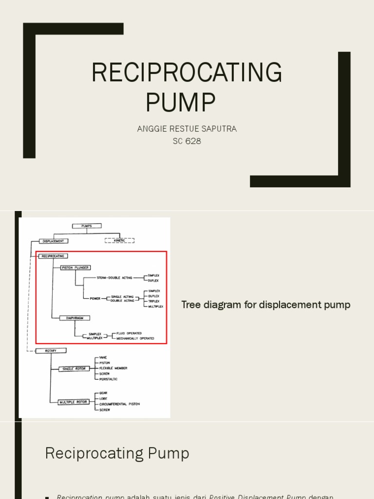 Reciprocating Pump | PDF