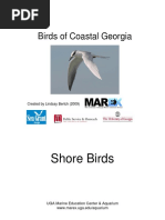 Colour Prediction | PDF