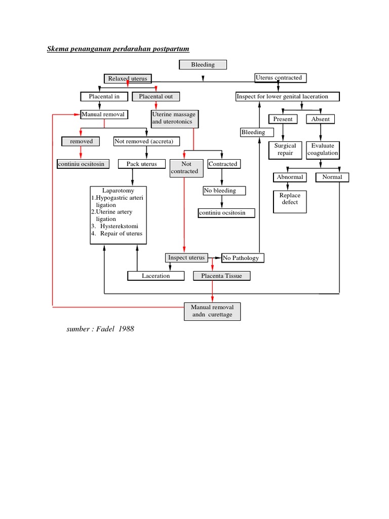 74362380-Skema-Penanganan-Perdarahan-Postpartum.pdf