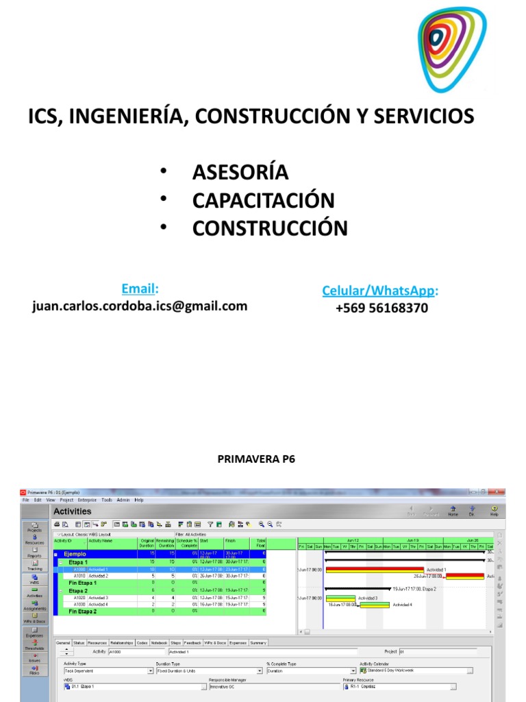Manual de Primavera P6 ICS | PDF | Software | Software del sistema