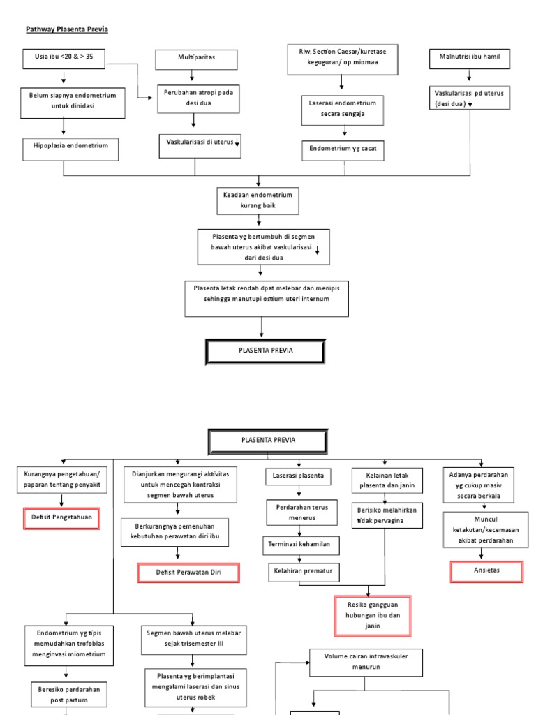 Pathway dan Patofisiologi Plasenta Previa | PDF