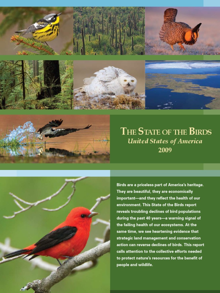 State of The Birds 2009 PDF | PDF | Conservation Biology | Habitat