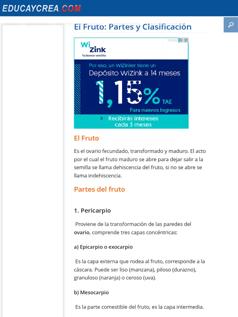 El Fruto: Partes y Clasificación | PDF | Fruta | Plantas