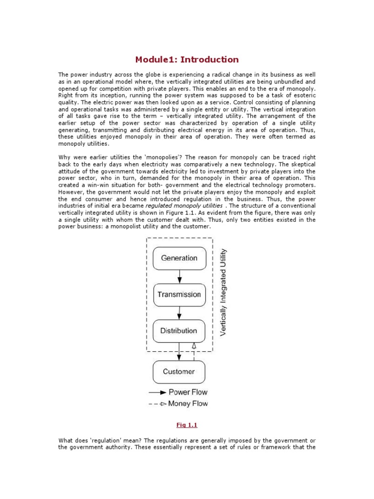 Understanding the Transition from Regulated Monopolies to Deregulated ...