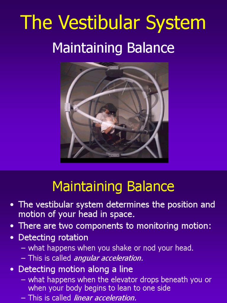 Otolith Organs and Linear Acceleration | PDF | Vestibular System ...