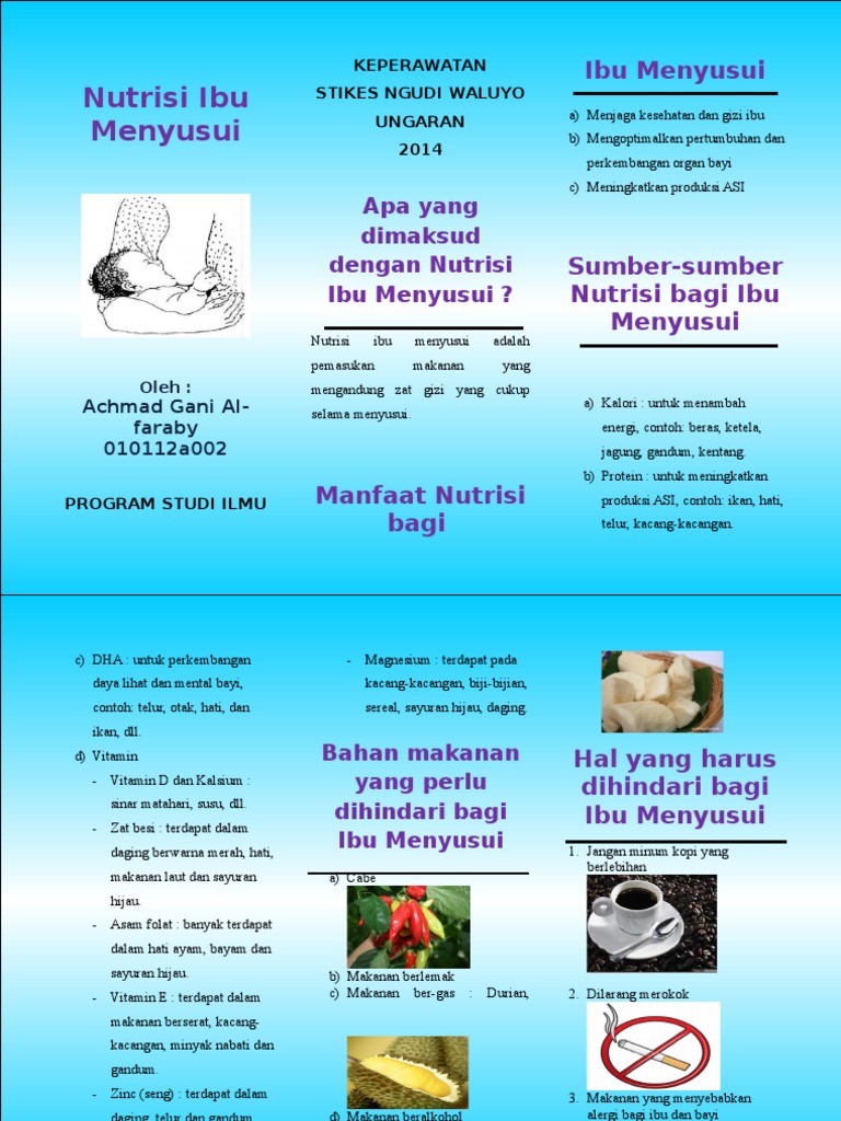 Leaflet Nutrisi Ibu Menyusui | PDF