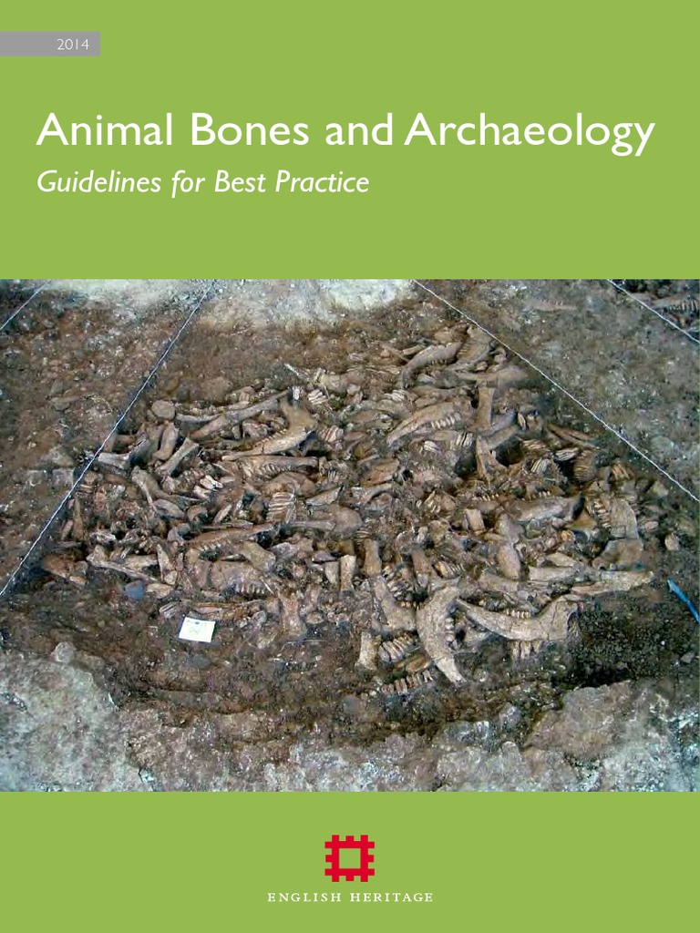 animal-bones-and-archaeology.pdf | Archaeology | Excavation (Archaeology)