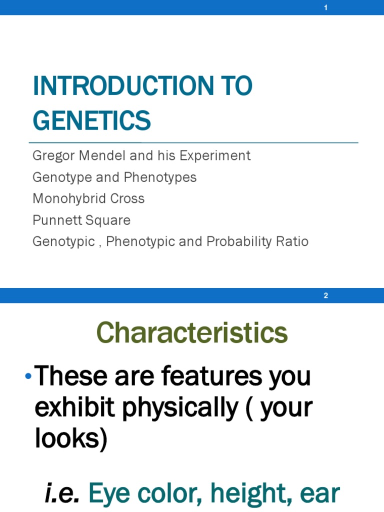 Genetics Handout | PDF | Dominance (Genetics) | Genotype