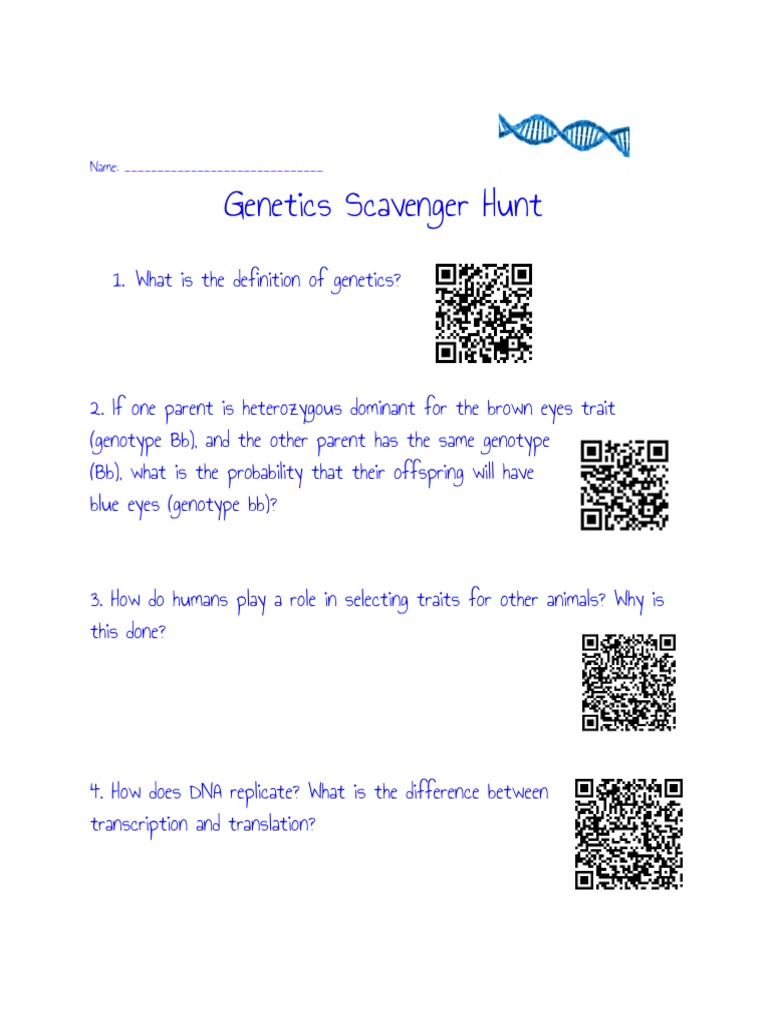 Genetics Scavenger Hunt Questions | PDF | Science & Mathematics
