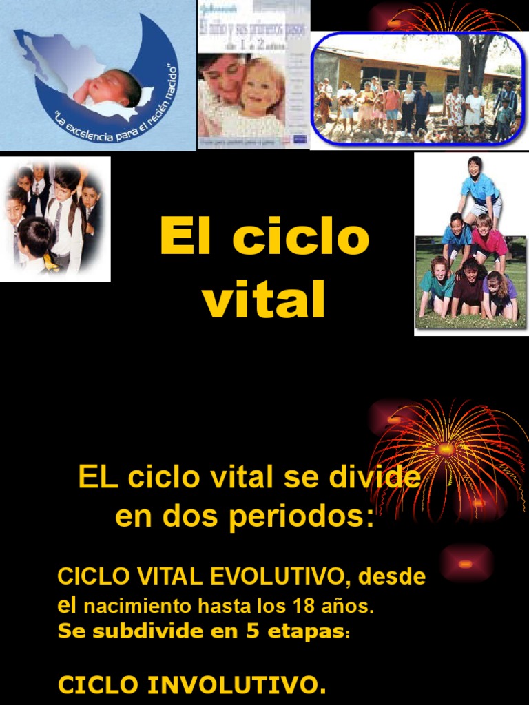 Ciclo Evolutivo Humano: Etapas Clave | PDF | Adultos | Vejez