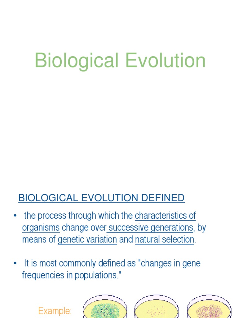 Intro To Evolution | PDF | Natural Selection | Adaptation