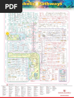 USPTO Art Units and Classes Overview | PDF | Telecommunication | Solid ...
