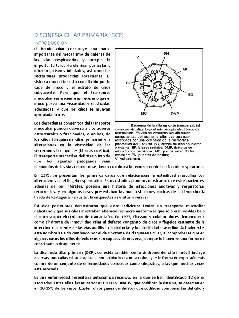 Discinesia Ciliar Primaria: Síntomas y Diagnóstico | PDF ...