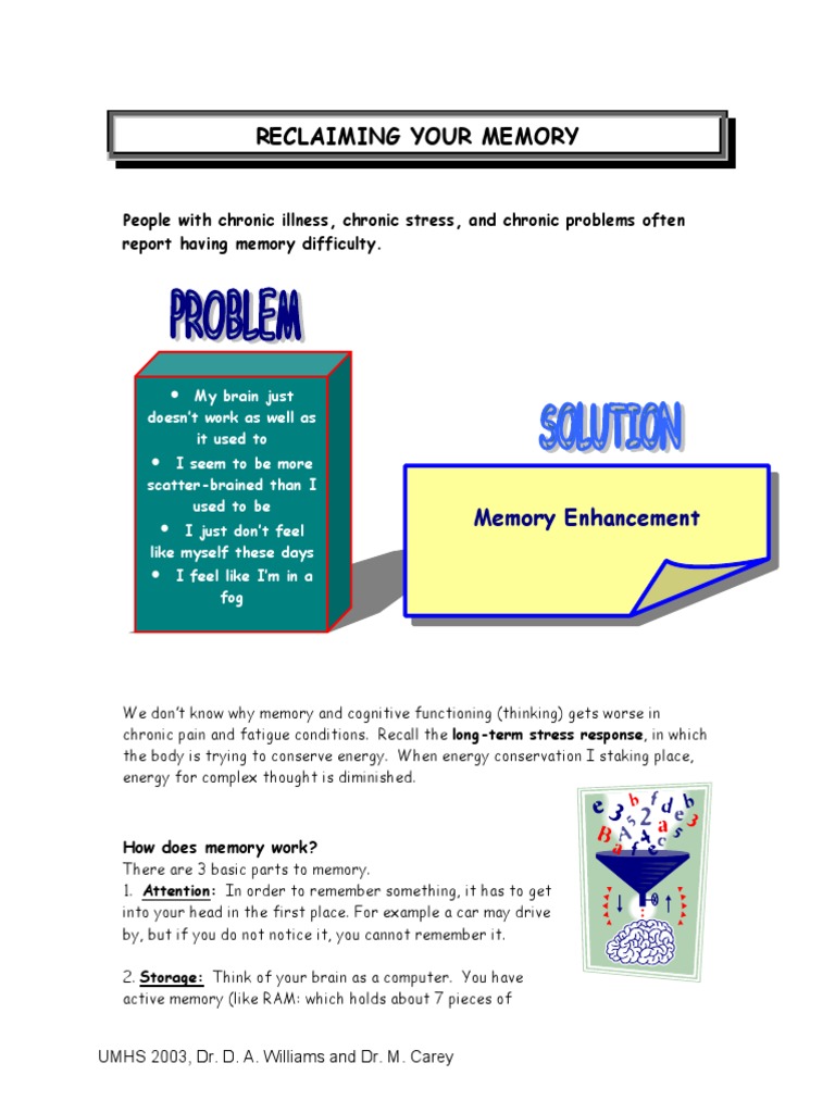 Reclaiming Your Memory: Strategies for Enhancing Attention, Storage ...