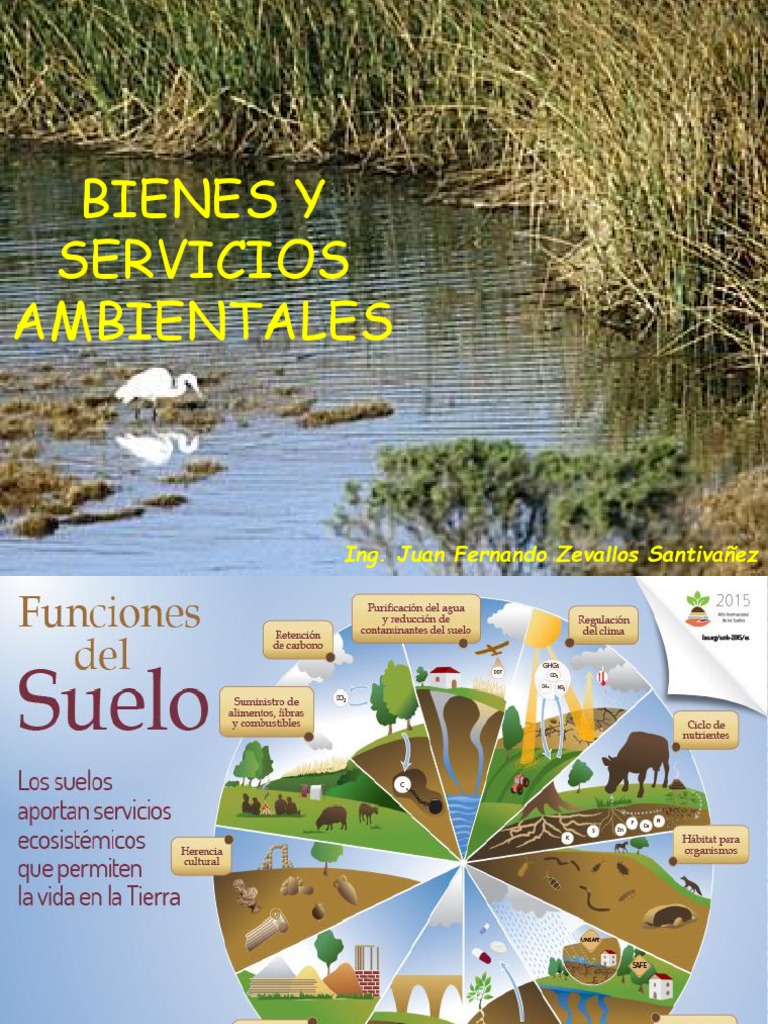 Bienes y Servicios Ambientales | PDF | Servicios de ecosistema | Ecología