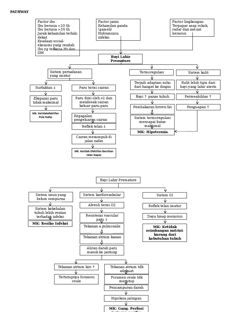 Pathway Prematur | PDF