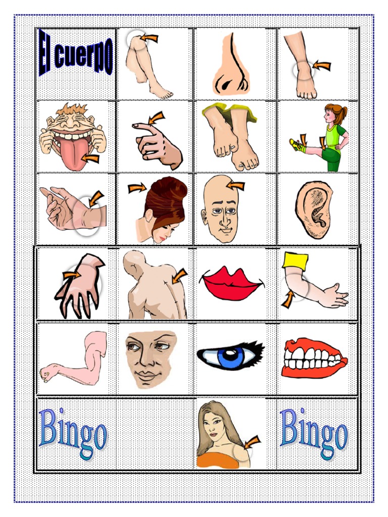 Bingo Cuerpo Humano | PDF
