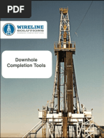 SLB Packer Catalog PDF | PDF | Casing (Borehole) | Drilling Rig