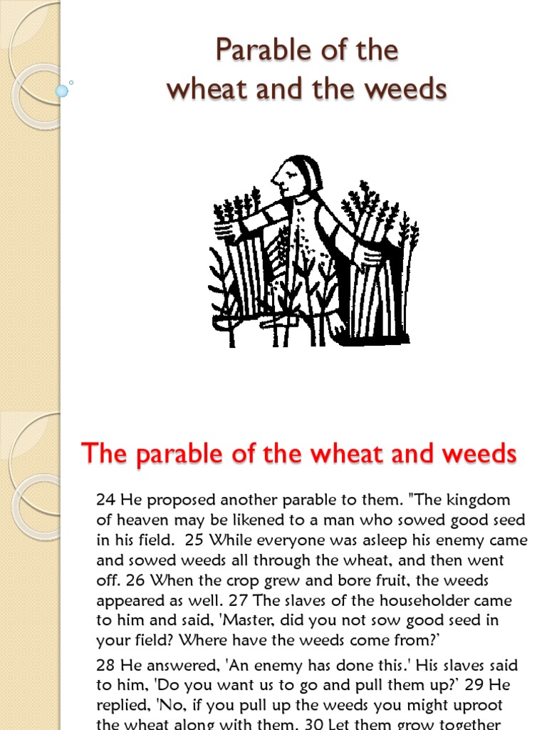 Parable of The Wheat and Weeds Viber - 1 | PDF | Patience | Spirituality