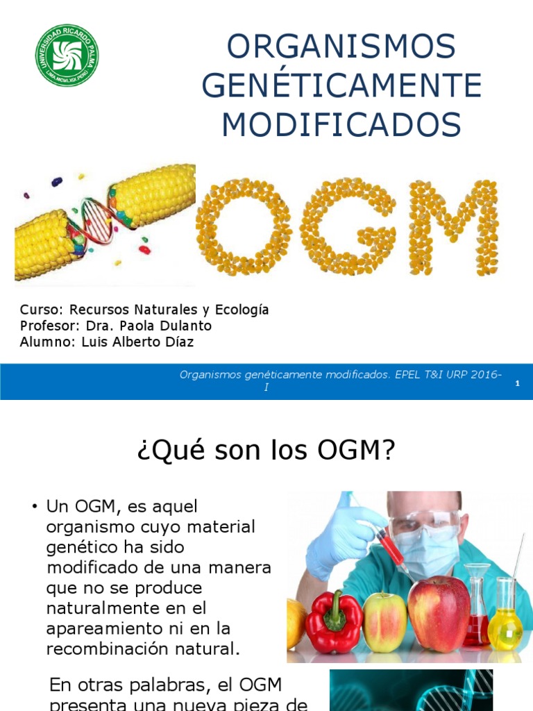 Ogm | PDF | Organismo genéticamente modificado | Biología