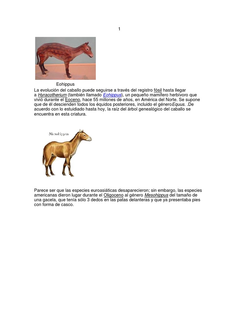 Evolución Del Caballo | PDF | Équidos | Caballos