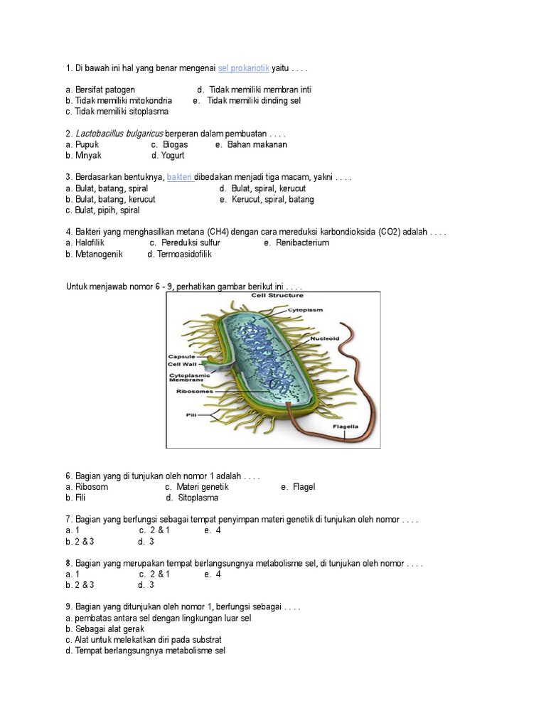 Soal Bakteri Sma | PDF