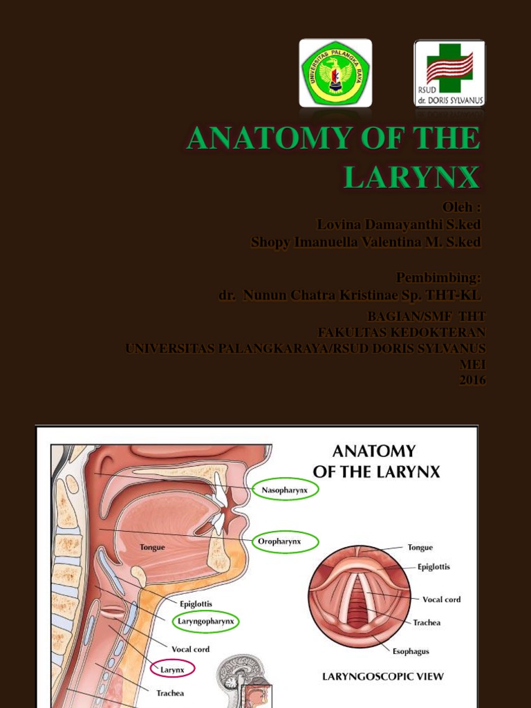 Anatomi Laring | PDF