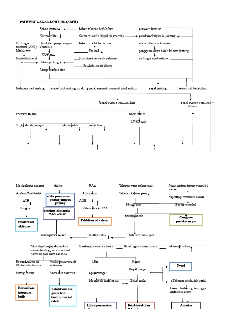 Pathway Gagal Jantung | PDF