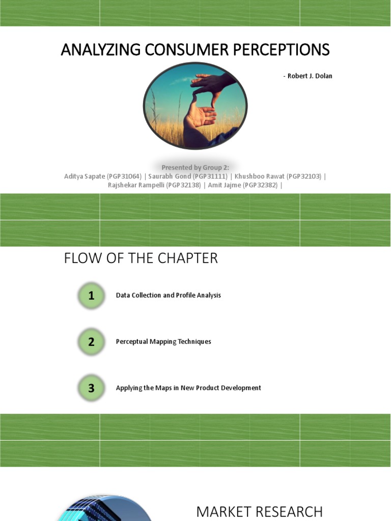 Analyzing Consumer Perception | PDF | Cognition | Cognitive Science