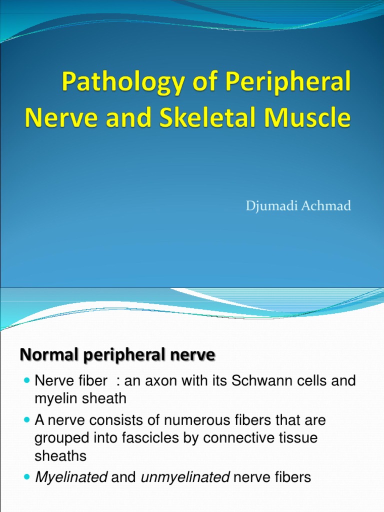 Pathology of Peripheral Nerve and Skeletal Muscle - DA | PDF ...