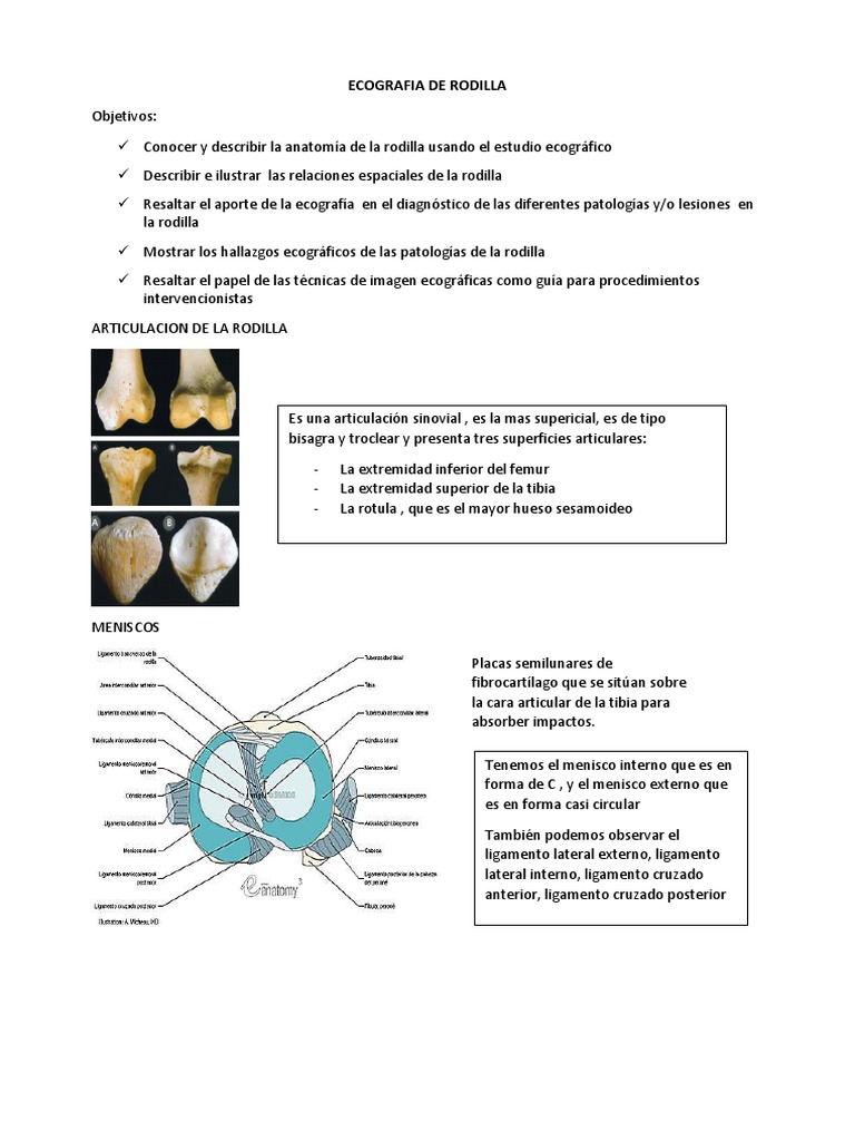 Ecografía de Rodilla: Guía Clínica | PDF | Rodilla | Sistema esquelético