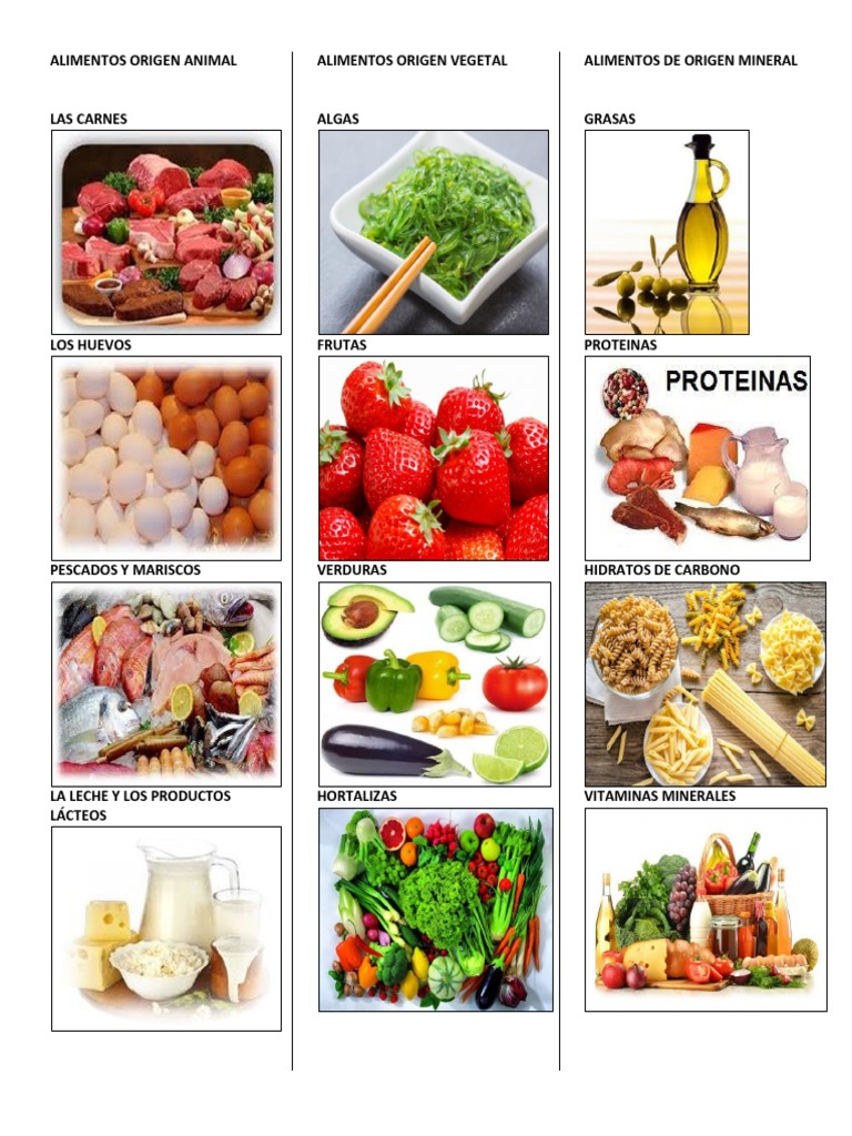 Alimentos según su origen: animal, vegetal y mineral | PDF | Vegetales ...