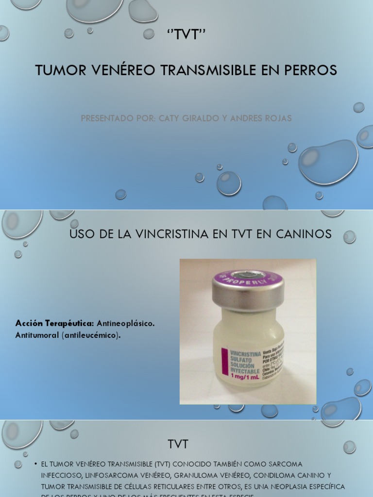 Vincristina en TVT Canino: Tratamiento Efectivo | PDF | Rtt | Medicina
