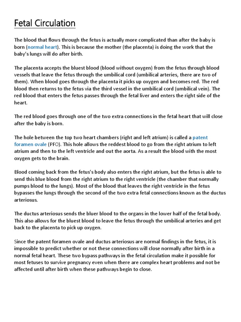 Fetal Circulation | PDF | Fetus | Heart