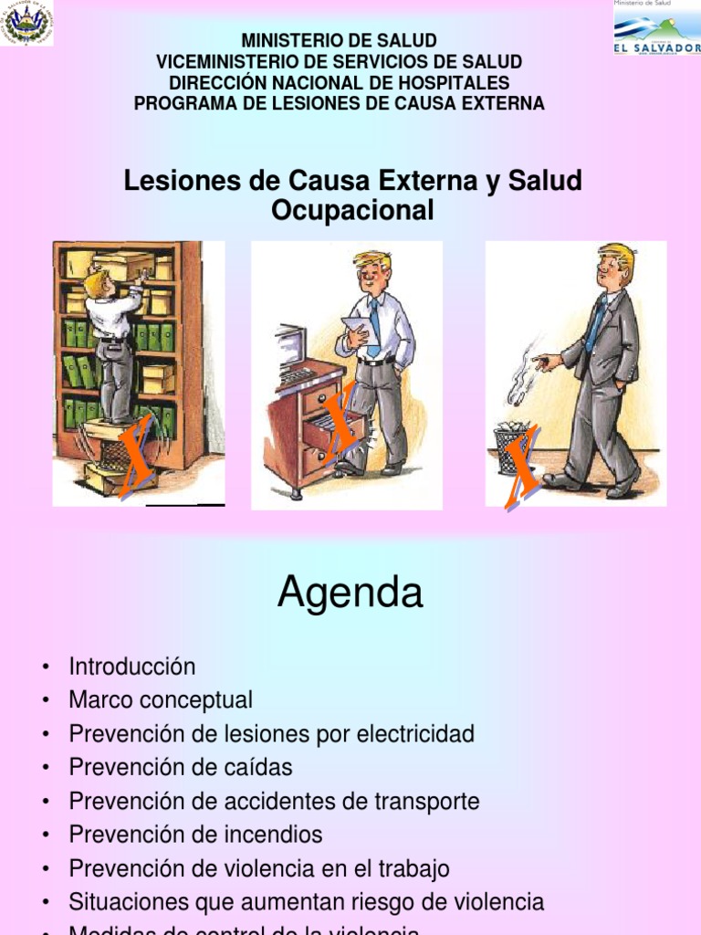 Lesiones de Causa Externa y Salud Ocupacional 2 | PDF | Asistencia ...