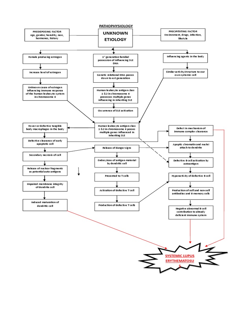 Sle Concept Map Part 1 | PDF | Systemic Lupus Erythematosus | Antigen