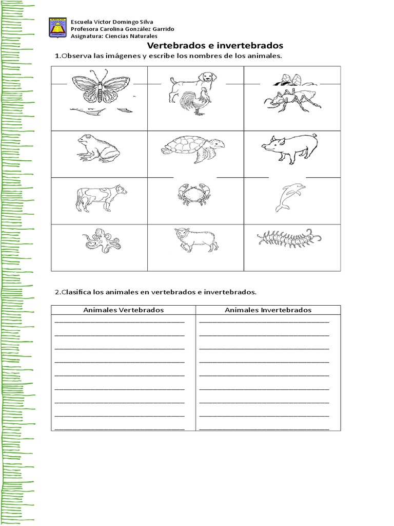 Ficha De Trabajo Sobre Vertebrados E Invertebrados Animales